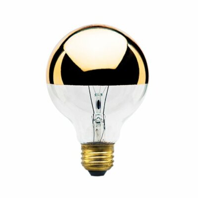 Bulbrite 40G25HG 40-Watt G25 Globe Bulb, Half Gold, Medium Base - 2 ...