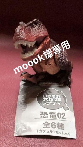 Gacha Capsule Toy Gacha Capsule Toy Tyrannosaurus T-REX Set | eBay