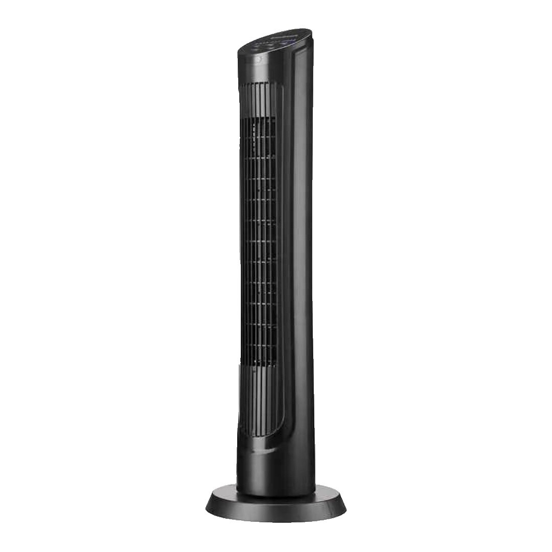 Fan Tall | eBay