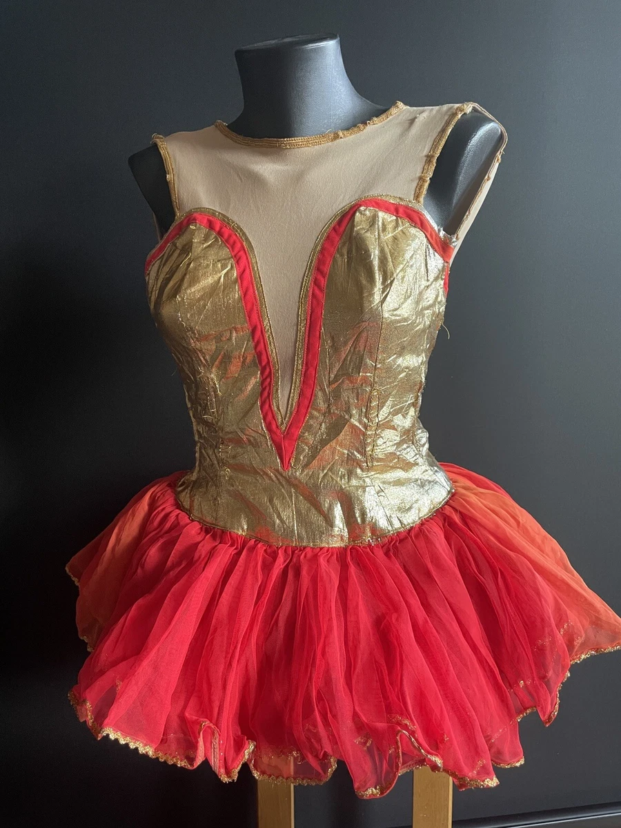 Vintage Trapeze Costume