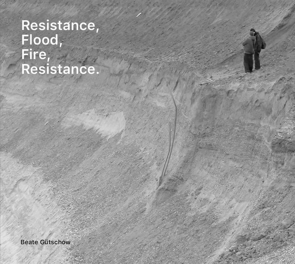 Felix Hoffmann / Beate Gütschow: Resistance, Flood, Fire, Resi ...