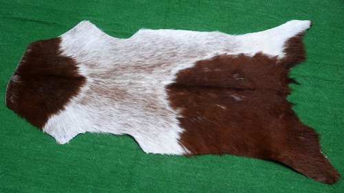 GOAT Western taxidermy Hide Rug Natural Pattern Fur Goat Hide Rode SA ...