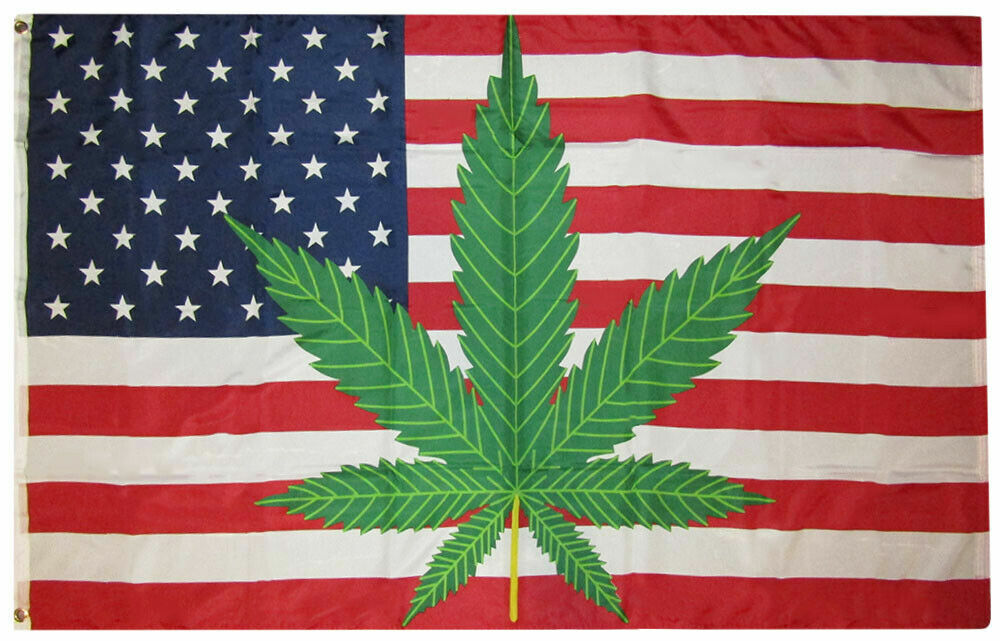Feuille De Weed Logo Cannabis Marijuana Leaf Vector Icon Logo Stock