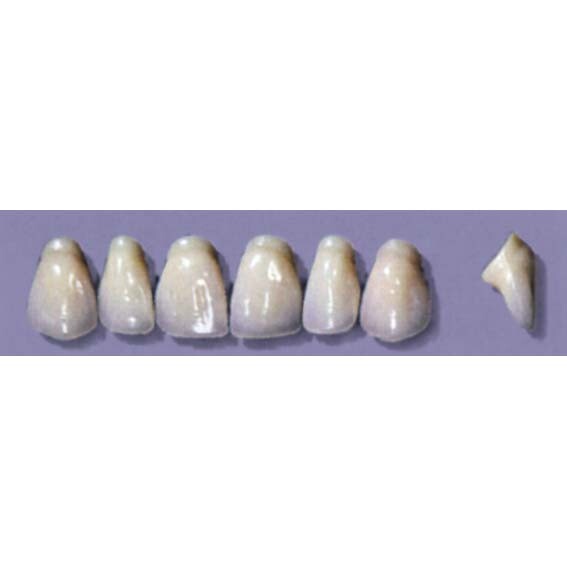 4 x Myerson Anterior Teeth Dental Prostheses Denture #PW4/58 (1 x 6 ...