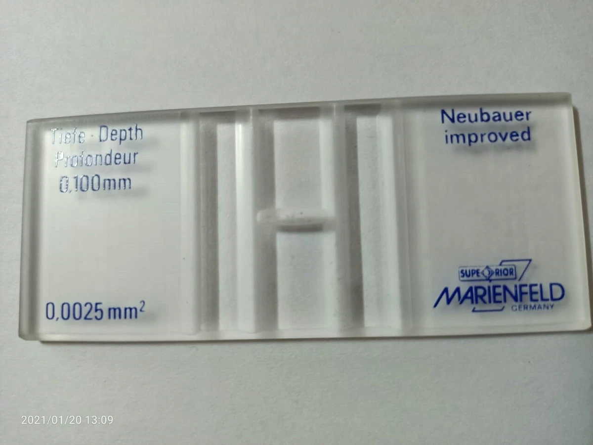 Manual Cells Counting With Hemocytometer/Improved Neubauer, 46% OFF