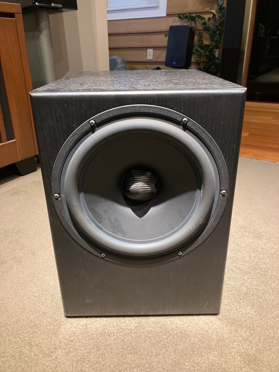 Totem Acoustic Thunder Subwoofer | eBay
