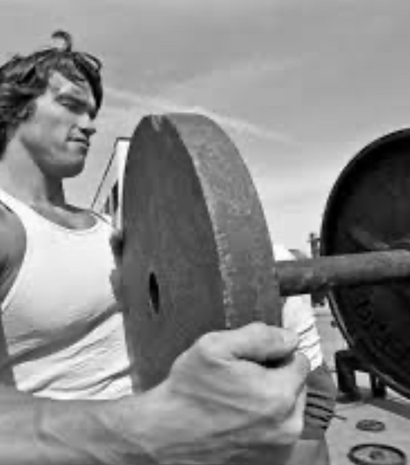 BFCO BELL FOUNDY CO Olympic Weight Plates Set 245LBS 2” Vintage Steel ...