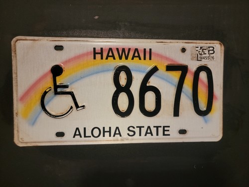 Vintage HAWAII ALOHA STATE License Plates 8670 | eBay