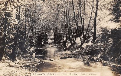 Mt Herman California~Man Stands @ Edge of Zayante Creek in Late Spring ...
