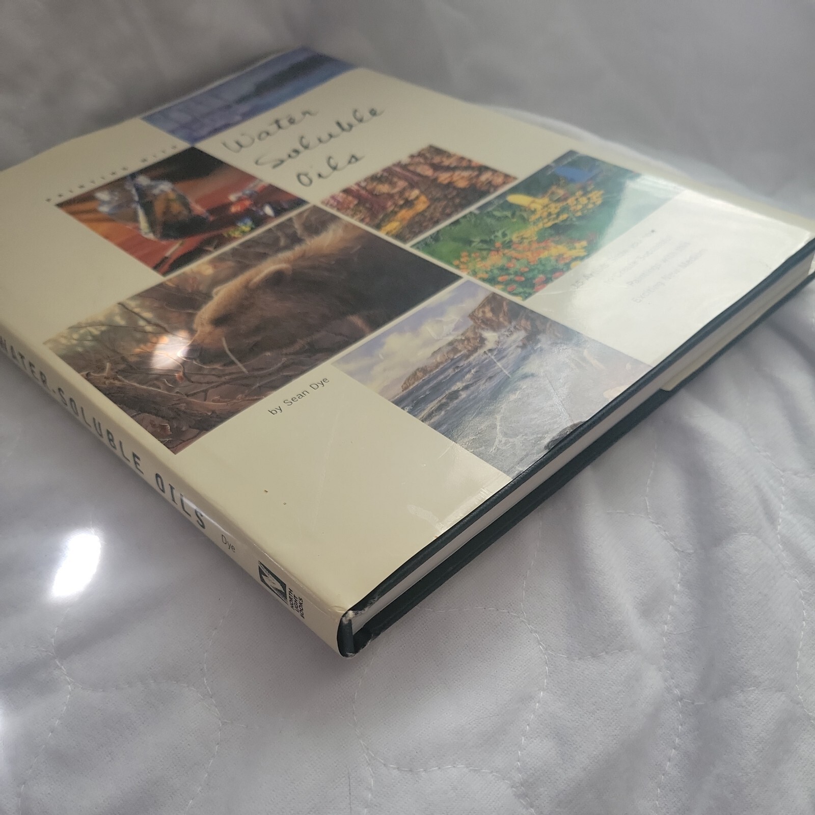 Painting with Water Soluble Oils by Sean Dye (2001, Hardcover ...