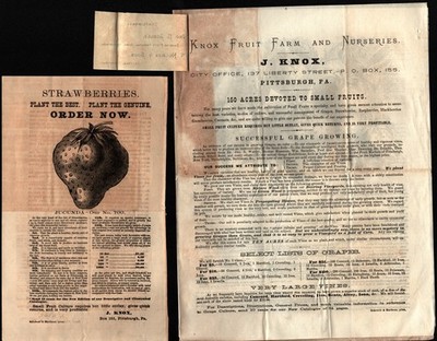 1870 KNOX FRUIT FARM PITTSBURGH PA CIRCULARS MAIL ORDER SEEDS TRADE ...