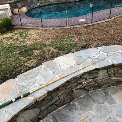 Conventional Rods - Sabre Fishing Rod