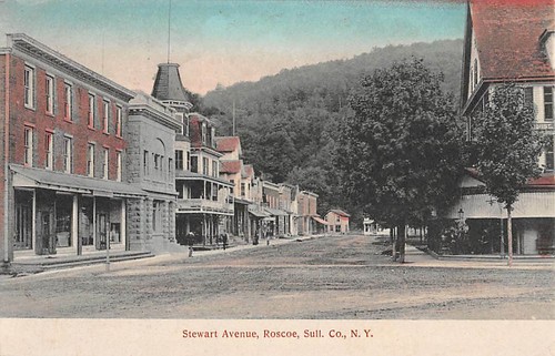 ROSCOE, SULLIVAN COUNTY, NY ~ STEWART AVENUE, STORES, R.R. REVIEW PUB ...
