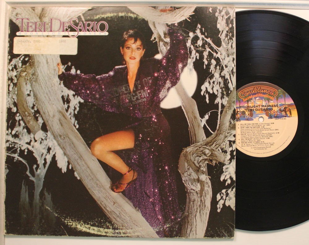 Teri Desario Lp Moonlight Madness On Casablanca - Nm / Vg+ (Radio ...