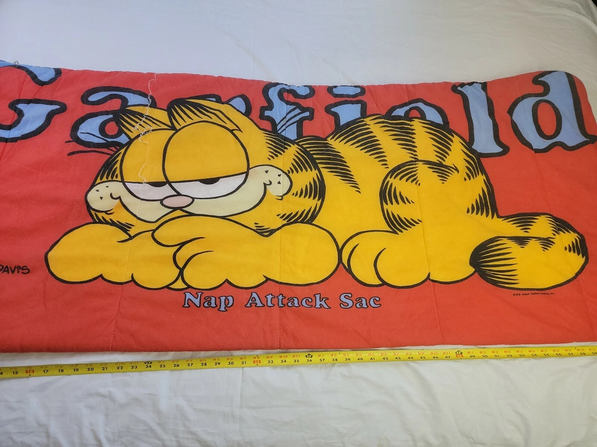 Sleeping Garfield