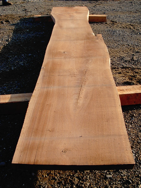 Black Walnut lumber exotic wood hardwood boule 6/4, kd | eBay