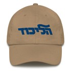 Likud Party Israeli Elections Bibi Benjamin Netanyahu Hebrew ...