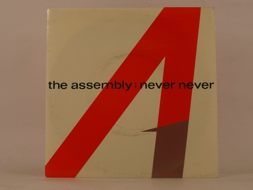THE ASSEMBLY NEVER NEVER (99) 2 Track 7" Single along with Picture ...