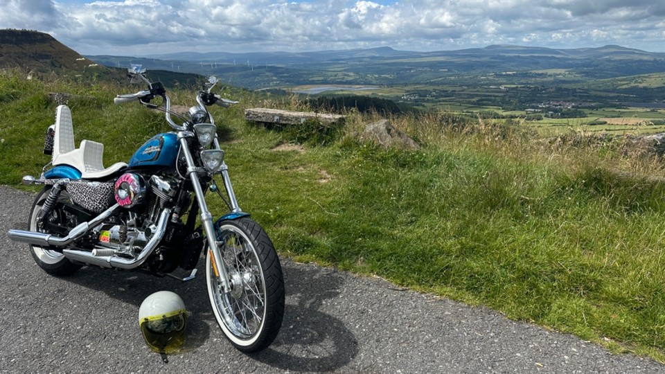 Harley Davidson 72 Hippie Sportster Custom / Chopper | eBay UK