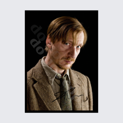 David Thewlis Harry Potter Actors Who Almost Starred In Harry Potter