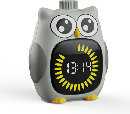 Grey Big-Eyed Owl Visual Timer for Kids,Classroom Timer, Time Out Timer ...