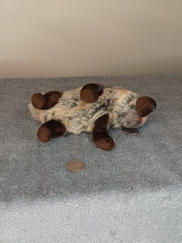 TY HOWL the WOLF BEANIE BABY | eBay