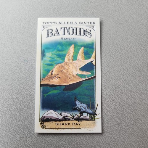 2024 Topps Allen & Ginter Shark Ray Batoids Mini #RITW-10 | eBay