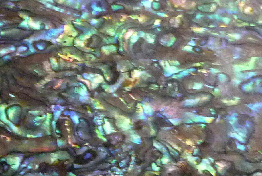 DIY Genuine Paua Shell INLAY Real Shell Sheet Veneer Overlay | eBay