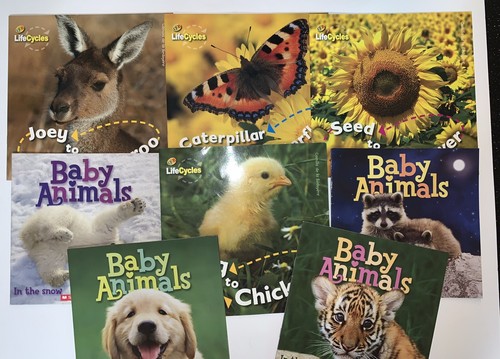 BABY ANIMALS LIFE CYCLES BOOKS CHILDREN'S TIGER PUPPY RACCOON BEAR ...