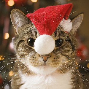 Affinity Gifts | eBay Stores