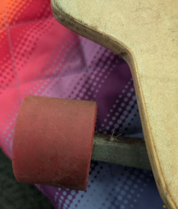 The Trade Winds Pintail Complete Goldcoast Longboard -Sam Flores ...