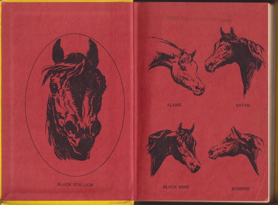 BLACK STALLION, ISLAND STALLION RACES, WALTER FARLEY HARDCOVER, LIB ...