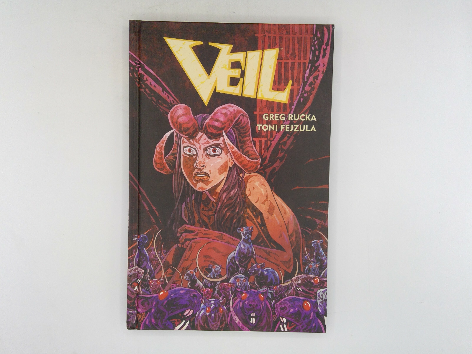 Veil Graphic Novel by Greg Rucka Dark Horse 2015, Hardcover ...