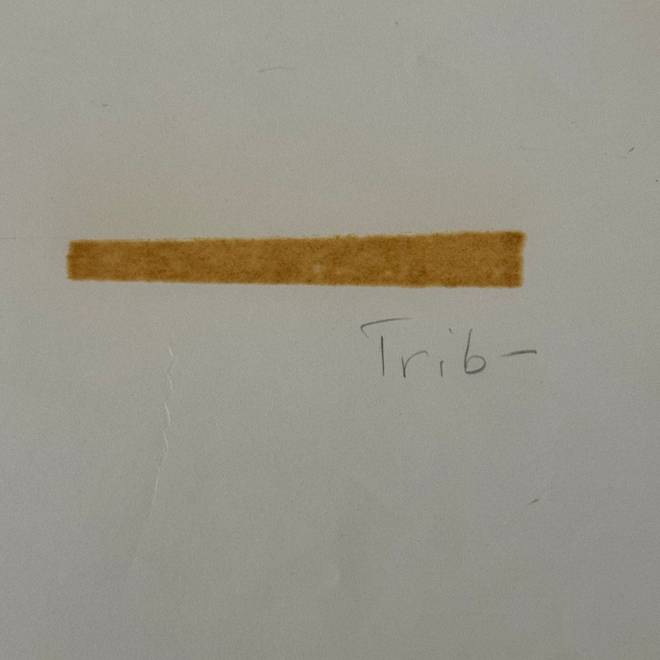 Vintage Drag Racing Photo Photograph Dragster Hot Rod Driver | eBay