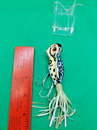 vintage old fishing lure Topwater Hula popper in frog color pattern ...