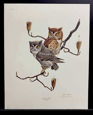 Ray Harm Limited Edition Hand Signed Print "Screech Owl(Two Birds) | eBay