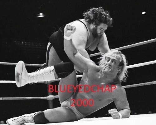 CRUSHER BLACKWELL VS HULK HOGAN WRESTLER 8 X 10 WRESTLING PHOTO AWA WWF ...