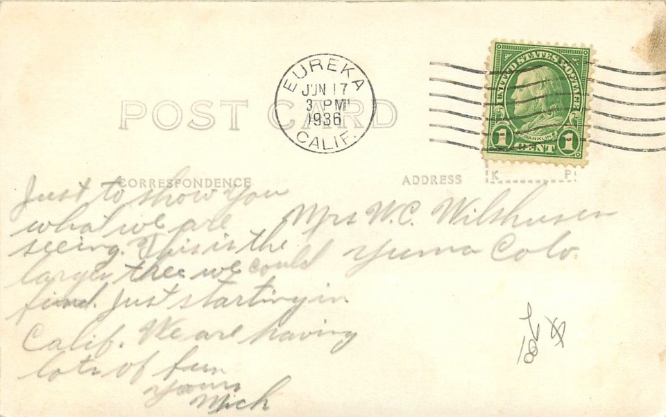 1936 General Custer Tree, Big Tree Park, California, Real Photo ...