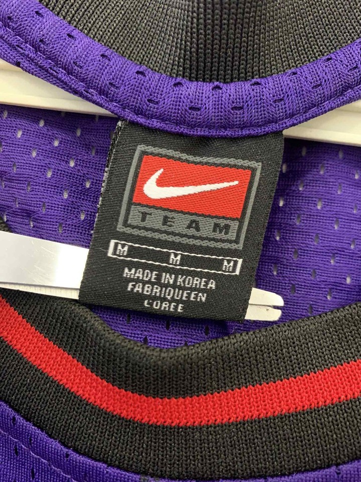 Vtg Nike Toronto Raptors Vince Carter #15 Purple Dinosaur Jersey NBA ...