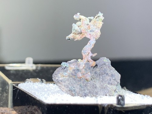 Dendritic / Fern Native SILVER - COPPER Half Breed Ontonagon UP Copper ...