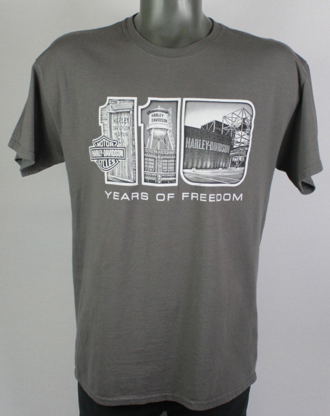 Harley Davidson 110 Years of Freedom Museum Double Si… - Gem