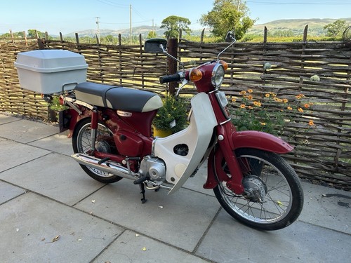 Honda Cub C70(Rare Colour) | eBay UK