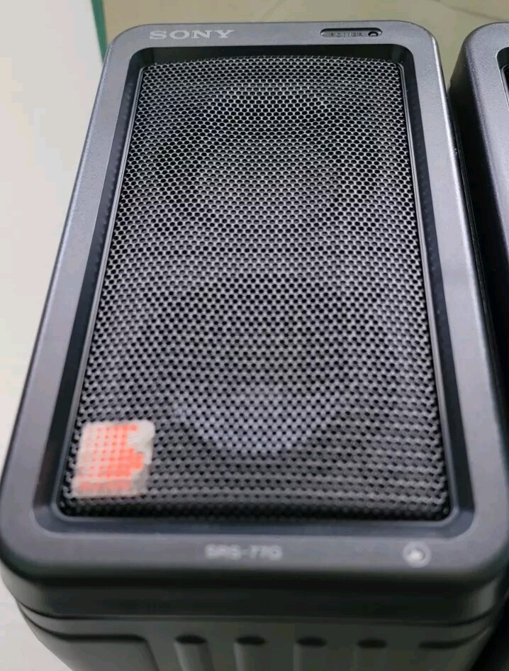 Sony SRS-77G Active Speaker System | eBay