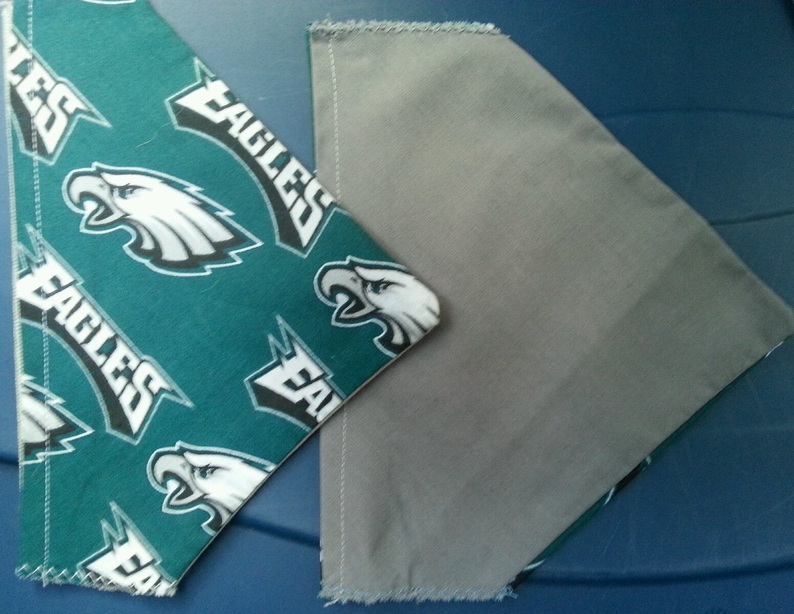 PHILADELPHIA EAGLES NFL HOMEMADE 2 SIDED DOG SCARF (PICK SIZE) | eBay