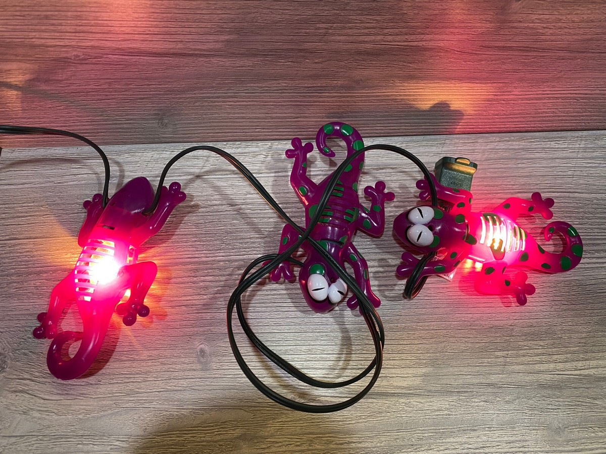 Outdoor Summer Party Lights
