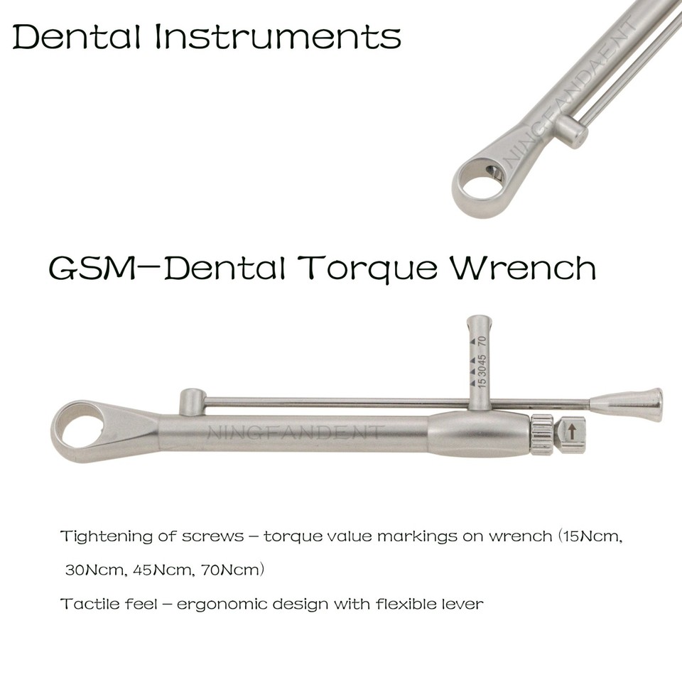Dental Implant Torque Wrench Hex 1.27mm Driver Tip Fits MIS Camlog Adin ...