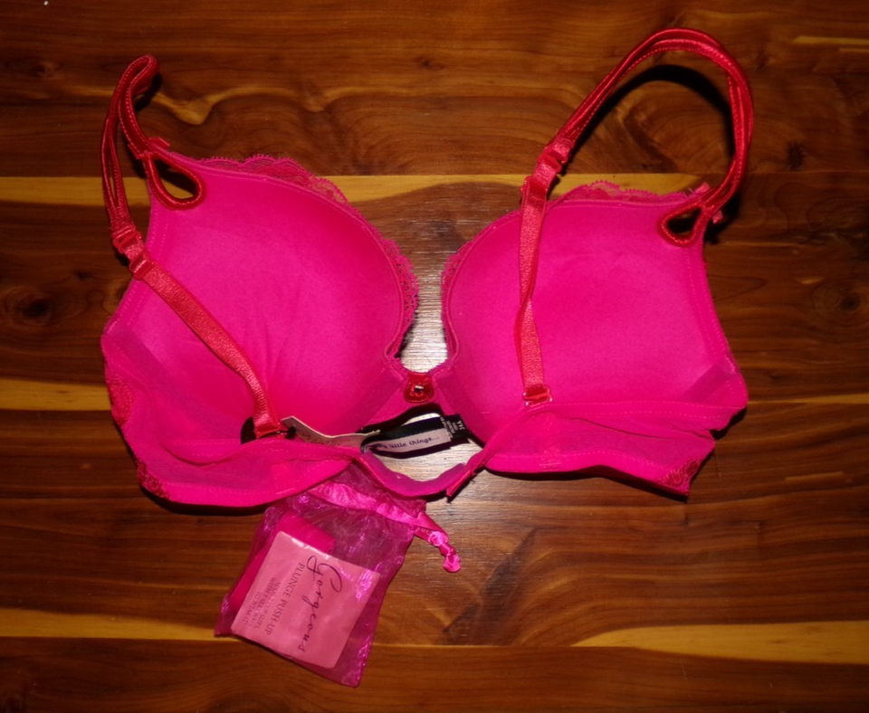 VS Sexy Little Things Padded Plunge Pink w/Red Stitched Fishnet Lace ...