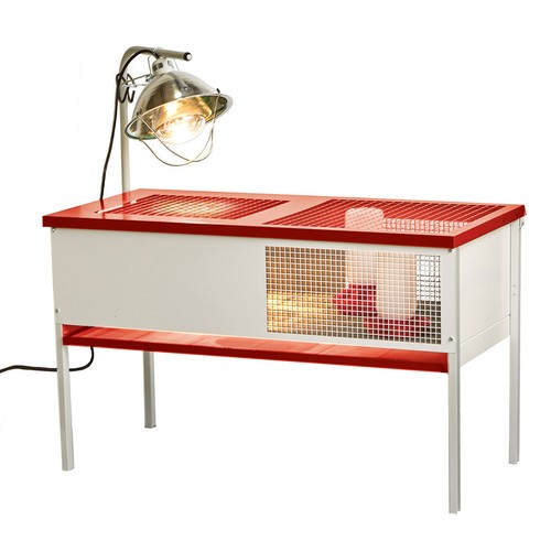 Little Giant Chick Brooder Box for sale online | eBay