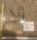 Moose Antlers for Dogs for sale | eBay