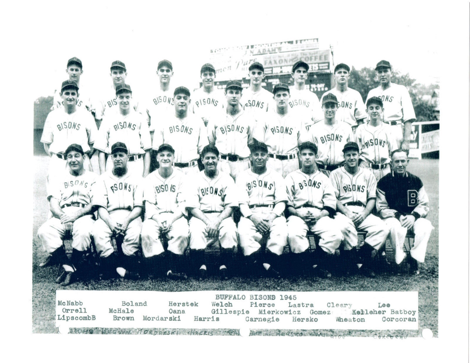 1945 BUFFALO BISONS 8X10 TEAM PHOTO BASEBALL NEW YORK USA | eBay